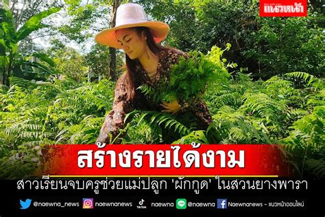 ข่าว Like สาระ สาวเรียนจบครูช่วยแม่ปลูก ผักกูด ในสวนยางพารา สร้าง