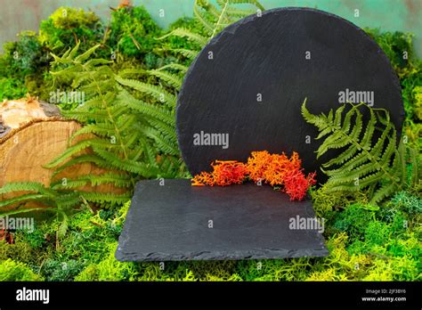 Staged Display For Product Photography With Black Stone Slabs Tree
