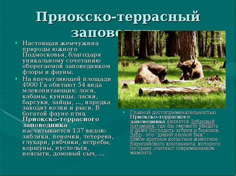 Проект по теме «Животные России Подготовил ученик 3б класса Зернов