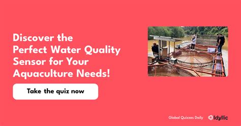 Discover The Perfect Water Quality Sensor For Your Aquaculture Needs