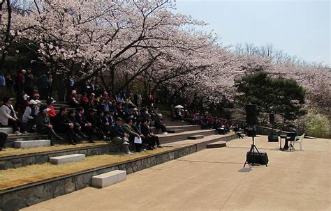 서대문 안산 숲 속 음악회에서 감미로운 자연의 속삭임을 들어보세요