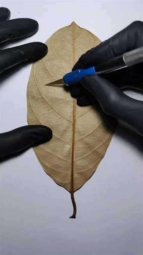 Solo Para Curiosos On Twitter Arte Esta En Todos Lados Https T Co NqK ZePugS Twitter