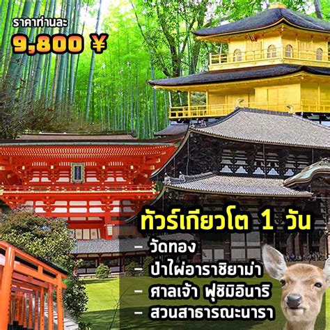 1 Day Tour เกียวโต นารา อาราชิยาม่า เที่ยวชมแหล่งอารยธรรมญี่ปุ่นโบราณnew