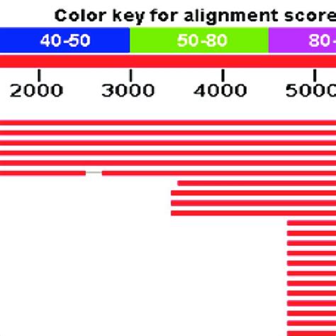 graphical summary output of blast showing the homology coverage between