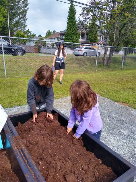 Native Pollinator Garden Our Canada Project