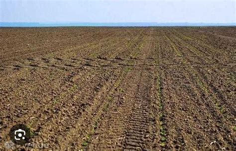 Продаж земельного пая 10 000 Продаж землі Іванівка на Olx