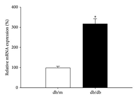 expression in islet of at1r in db m mice and db db mice a expression