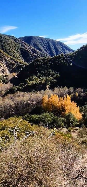 [아무것도 두려워 말라] 두려워하지말라 내가 너와 함께 함이라 놀라지 말라 나는 네 하나님이 됨이라 내가 너를 굳세게 하리라 Youtube