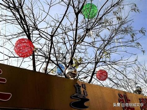 纖枝向日立寒風勁節凌霜笑落桐詩詞六首 每日頭條