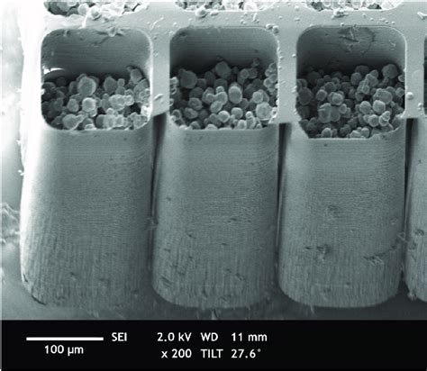 Secondary Electron Image Of A Phosphor Array With 125 µm Pixel Size Download Scientific Diagram