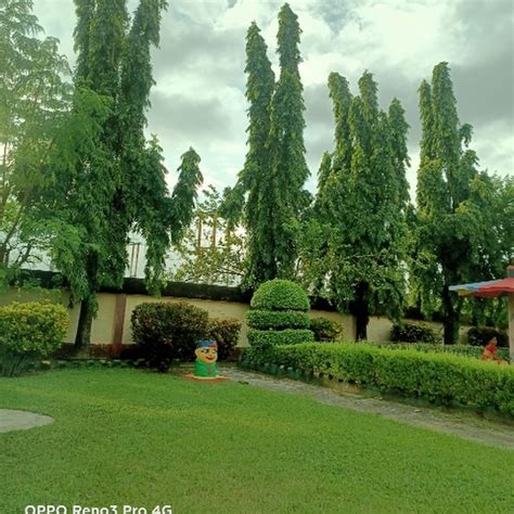 Haripal Shorts Video 📷 Youtube