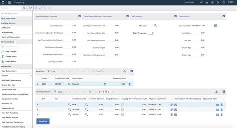 38 Inventory Maximo Secrets