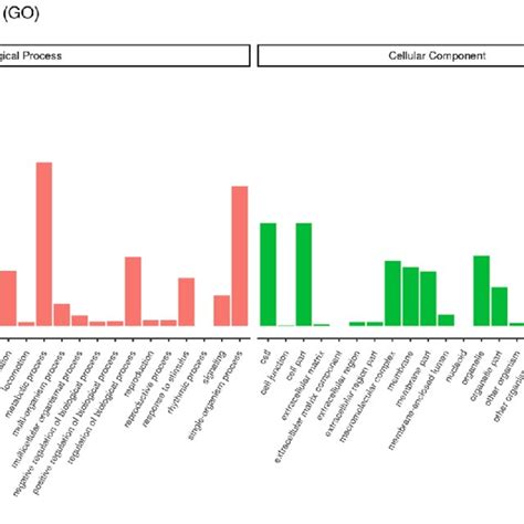 Histogram Of Gene Ontology Go Classification The Go Categories Shown
