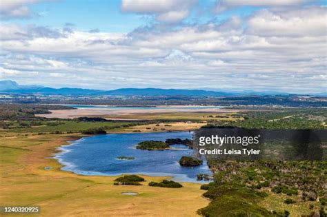 Lowland Native Grasslands Of Tasmania Photos And Premium High Res