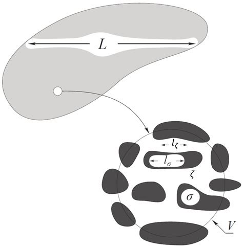 Macro Scale Morphology At Glenn Thacker Blog