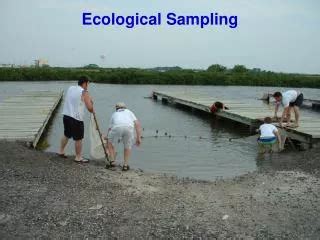 PPT ECOLOGICAL SAMPLING METHODS PowerPoint Presentation Free Download ID 4206818