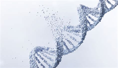 미토콘드리아 DNA 돌연변이 암노화와 깊은 관계최초 규명 머니투데이