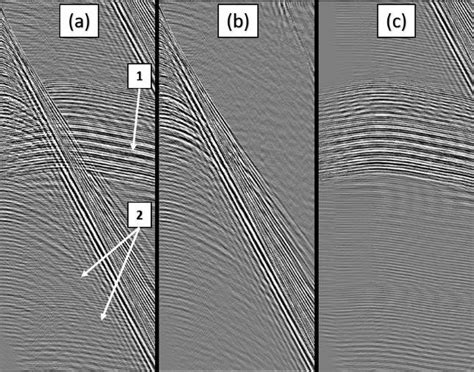 Example Of Si A Shot Gather Affected By Si B Shot Gather After Download Scientific