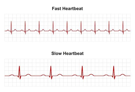 electrocardiogram test in telangana cardiologist in 54 off