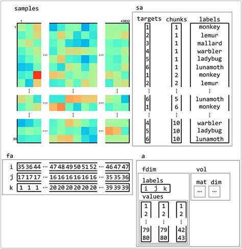 Frontiers Cosmomvpa Multi Modal Multivariate Pattern Analysis Of Neuroimaging Data In Matlab