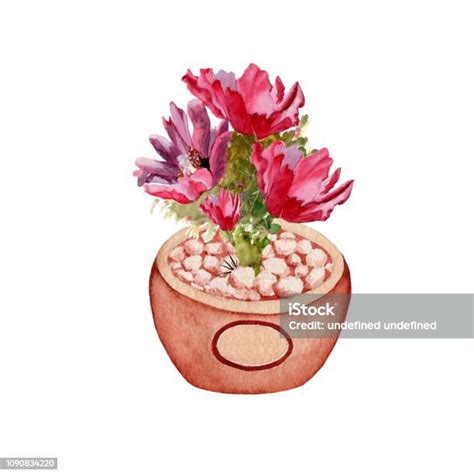 Succulents 식물 수채화 그림 손 그림 식물 그림 흰색 바탕에 꽃 냄비에 선인장과 수채화 그림 0명에 대한 스톡 벡터