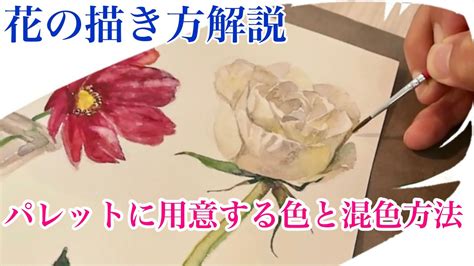 楽しく練習水彩画 HANE花の描き方薔薇やコスモスマーガレットなどコツを掴んで絵具を扱いましょう YouTube