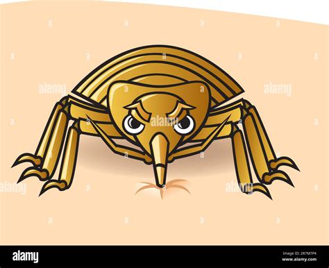 Bed Bug Bite On Skin Stock Vector Images Alamy