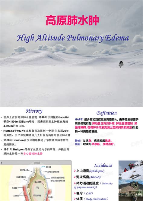 高原肺水肿ppt模板下载编号ldvnkvvw熊猫办公
