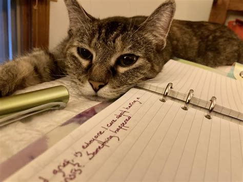 She Loves Watching Me Write Rcatsmirin