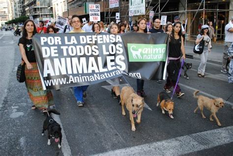 Animanaturalis Se Manifiesta En Valencia Contra El Maltrato Animal