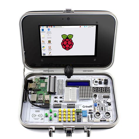 Raspberry Pi Stem 4 Future