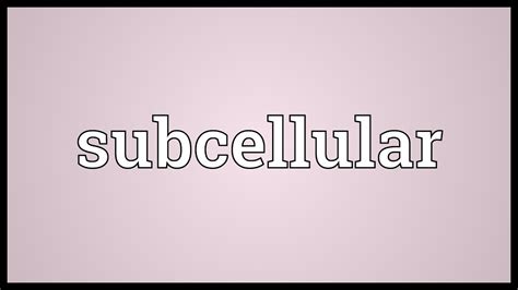 Subcellular Meaning Youtube