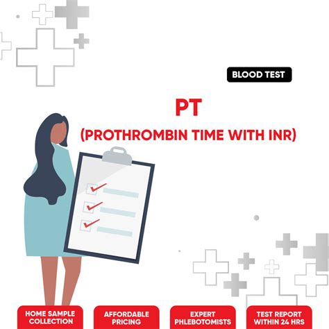 Pt Prothrombin Time With Inr Test Find My Doctor