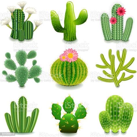 Ilustración De Conjunto Vectorial De Iconos Cactus Y Más Vectores