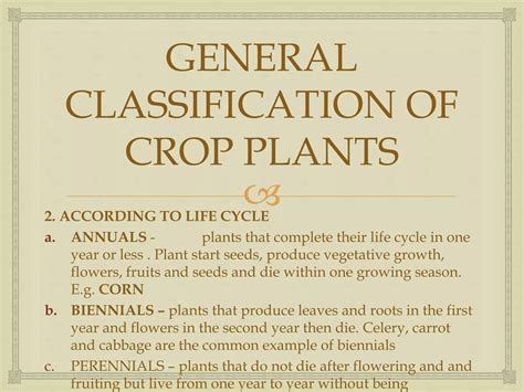 Major Crops Of The Philippines And Their Geographicpptx