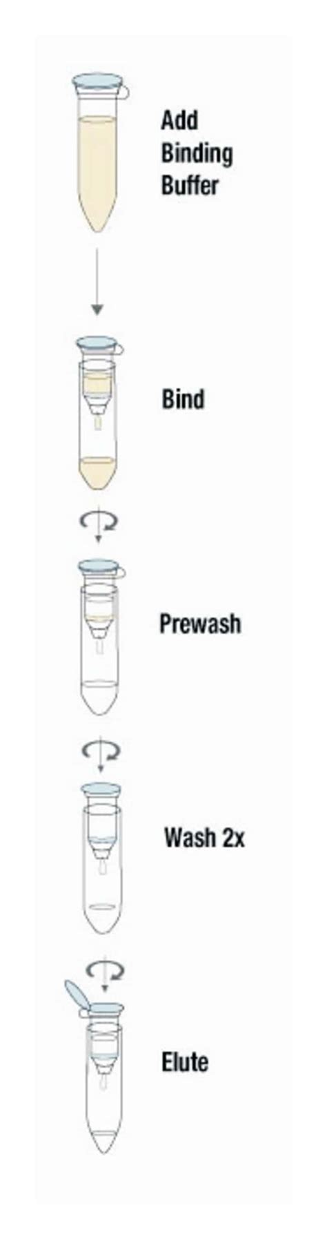 Thermo Scientific™ Buffers For Genejet™ngs Cleanup Kit Fisher Scientific