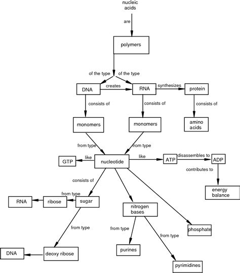 Biology Corner Evolution Concept Map At Yolanda Johnson Blog