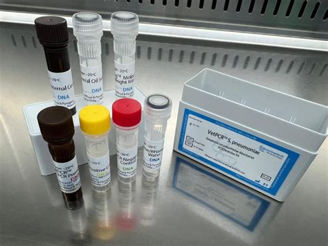 Streptococcus Pneumoniae Detection Kits Pcr Kit