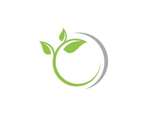 Feuille Verte écologie Nature élément Vecteur Xa Vecteur Premium