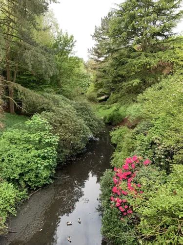10 Best Trails And Hikes In Liverpool Alltrails