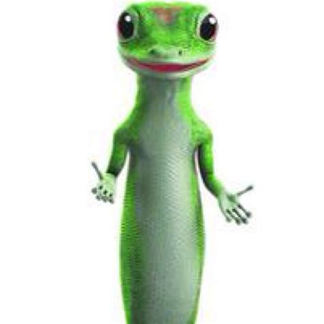 Geico Lizard Quotes Quotesgram