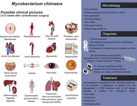 Mycobacterium Chimaera Infections An Update Journal Of Infection And Chemotherapy