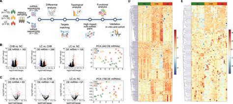 Transcriptomic Characteristics Of Patients With HBV LC A Study Design Download Scientific