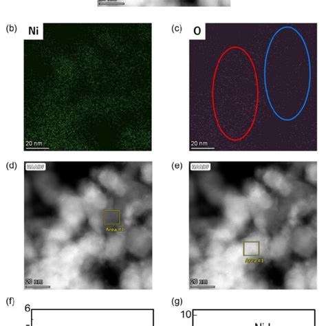 Fig S3 Haadf Stm Eds Spectra Of The Freeze Dried Ninio X Download Scientific Diagram