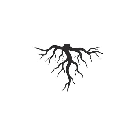 Root Vector Illustration Template Root Root System Ecology Vector Root