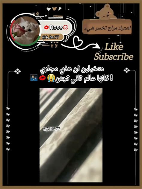 تجنن😓💗لايك للفيد بلييز واشتراك عشان نوصل 3k آلاف مشترك😭💔 عبيرتحب