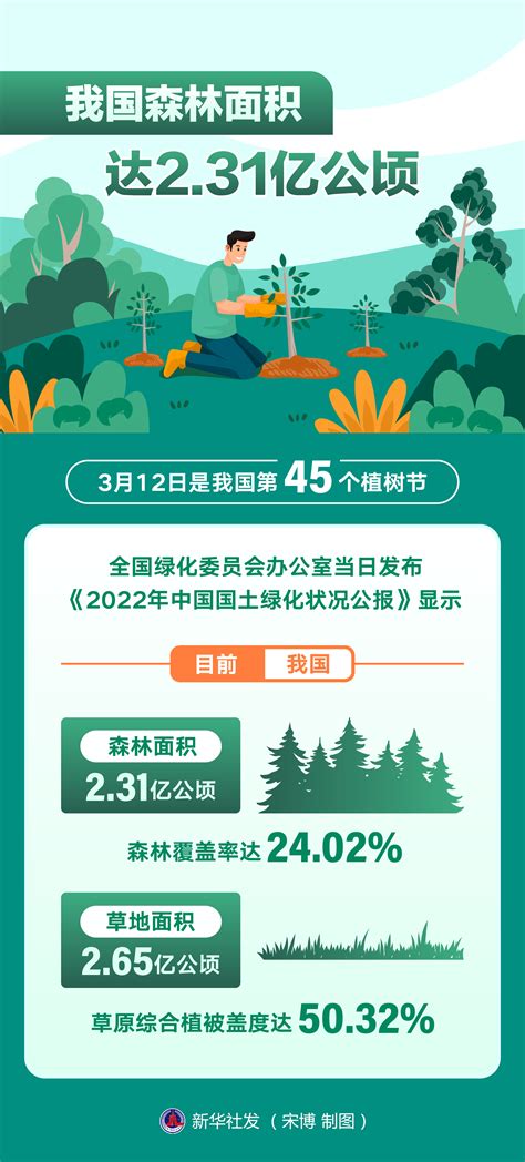 我国森林面积达231亿公顷 新华网