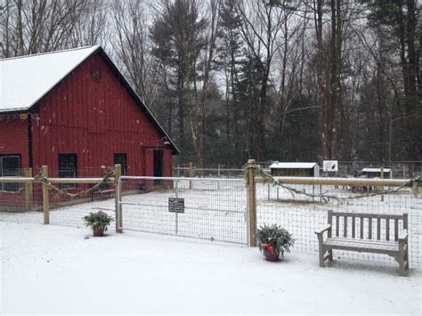 Dispatch From The Digital Health Frontier A White Christmas On Unity Farm