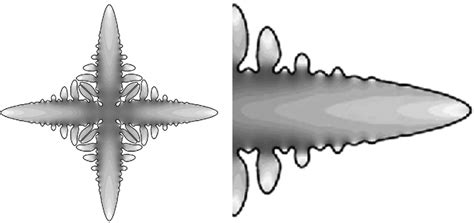 Left Panel Phase Field Simulation Solved Over The Full D