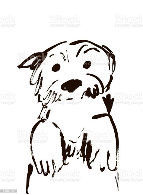 웨스트 하이랜드 화이트 테리어 개 라인 초상화 벡터 일러스트 레이 션 웨스트하이랜드화이트테리어에 대한 스톡 벡터 아트 및 기타 이미지 웨스트하이랜드화이트테리어 개